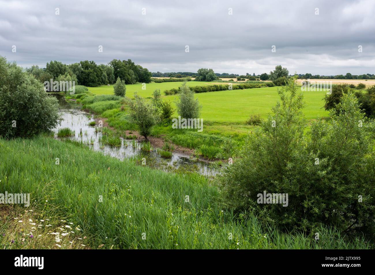 Floodplain wetland hi-res stock photography and images - Alamy