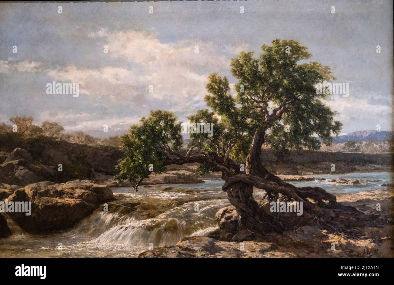 Ribas palma hi-res stock photography and images - Alamy