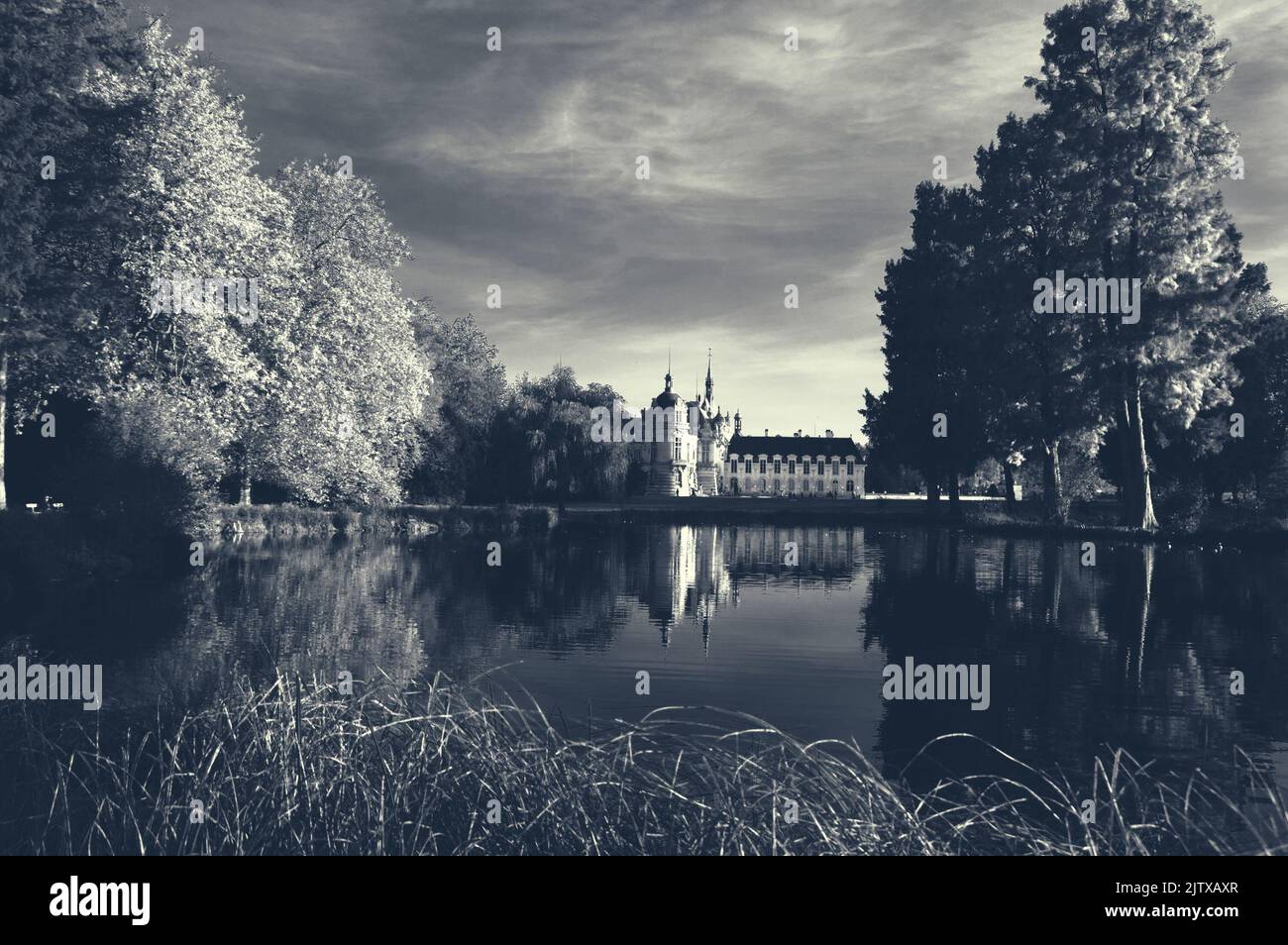 Chantilly forest france hi-res stock photography and images - Alamy