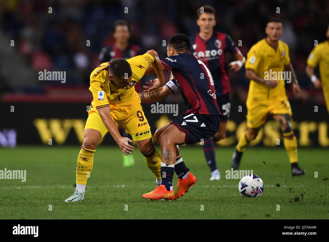 Federico Bonazzoli (Salernitana)Gary Medel (Bologna) during the Italian ...