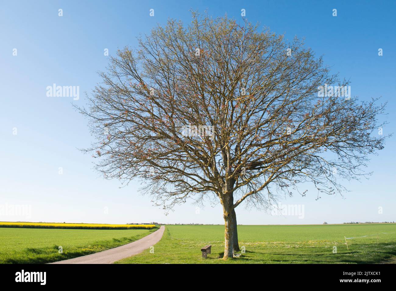 Plaine saint laurent hi-res stock photography and images - Alamy