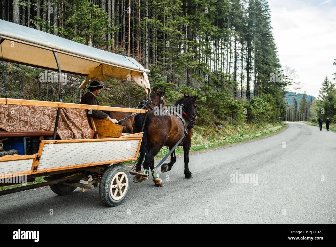 Horse-drawn carriage on a road in the mountains Stock Photo - Alamy
