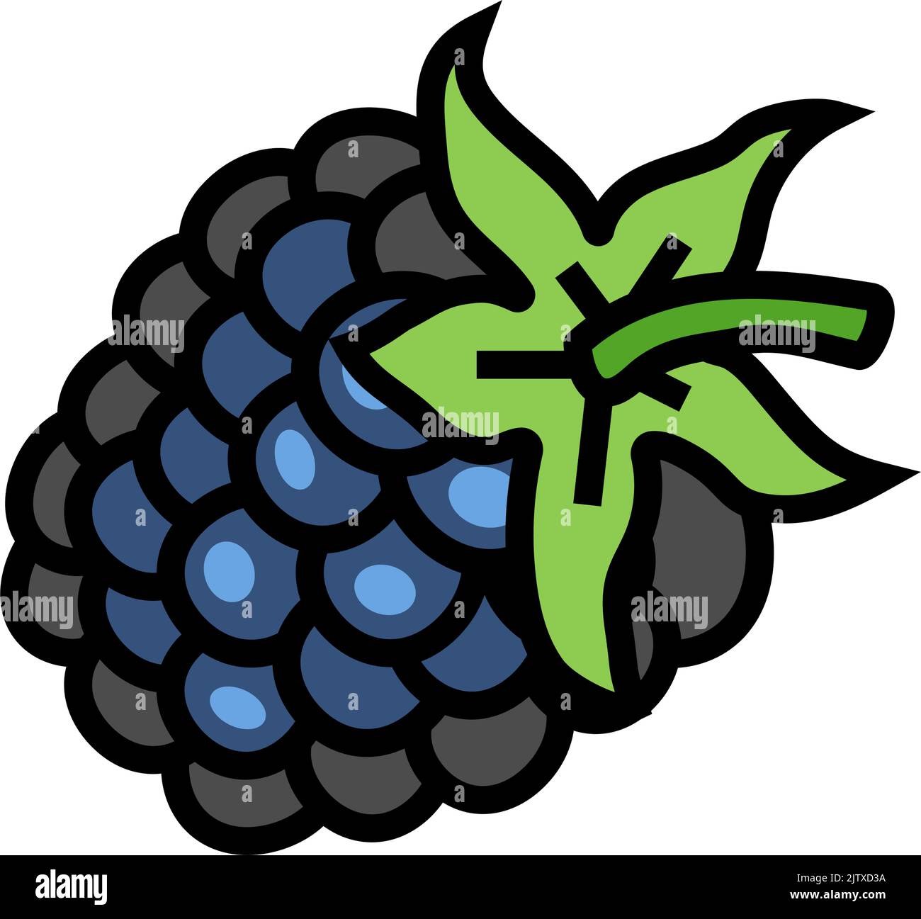 blackberry berry color icon vector illustration Stock Vector Image ...