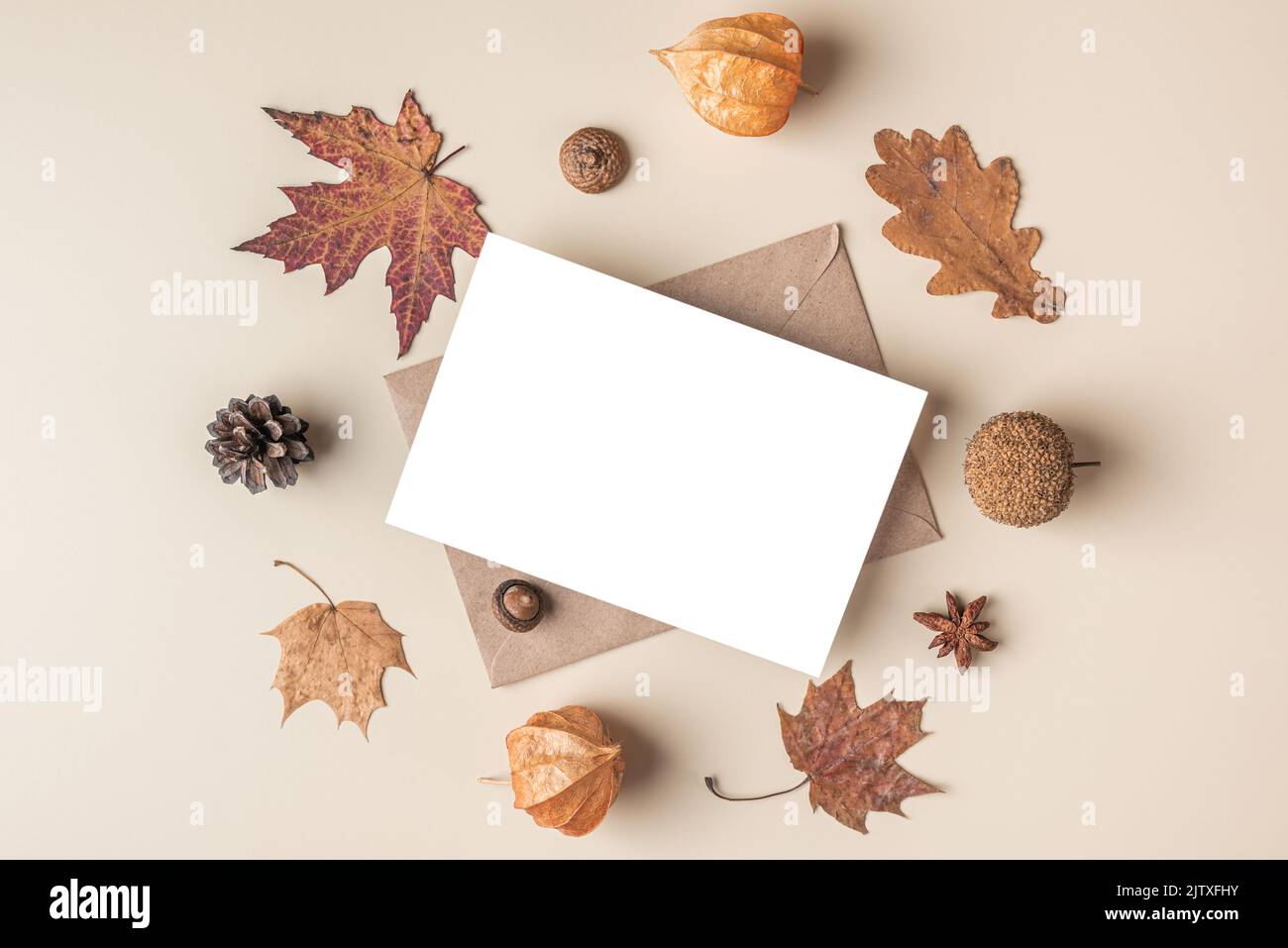 Autumn greeting card in frame made of dry leaves, flowers, acorn, pine cone, anise star on beige ...