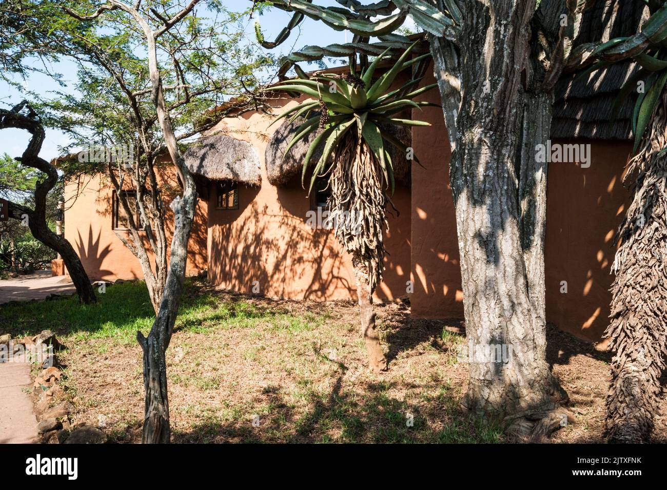 Shakaland cultural village zulu hi-res stock photography and images - Alamy