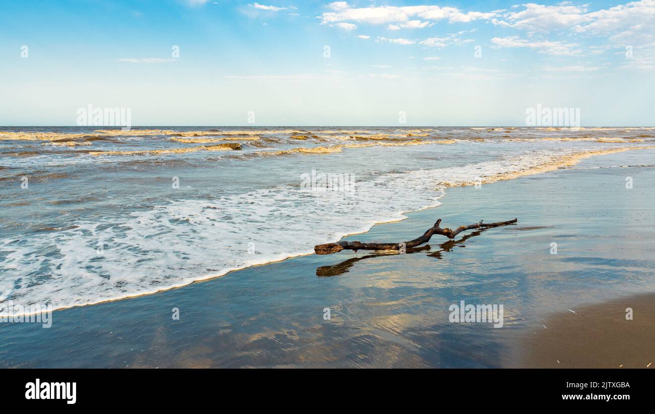 Wet snag hi-res stock photography and images - Alamy