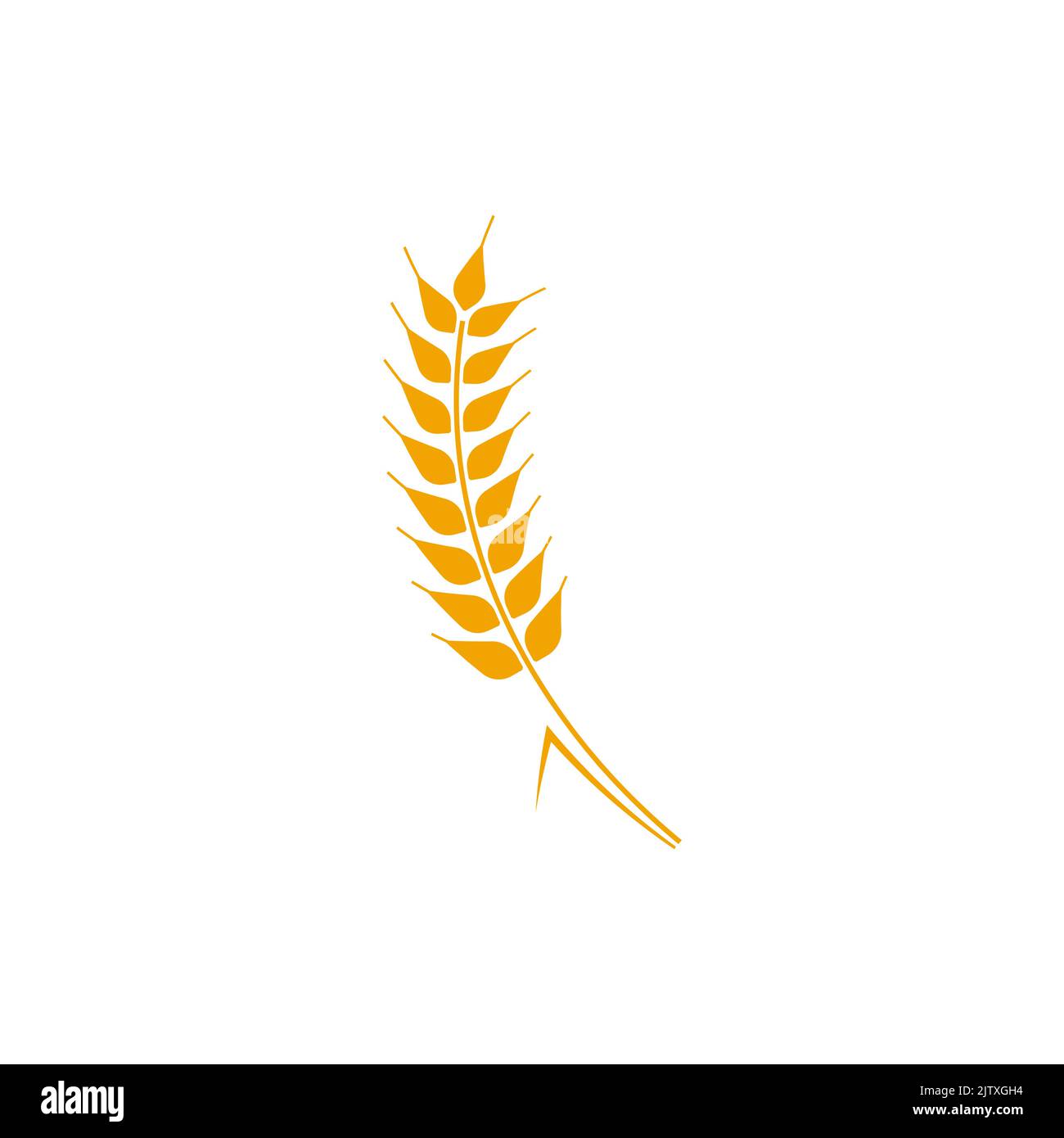 Wheat wreaths logo. Wheat ear icon. Vector agriculture ears symbol ...