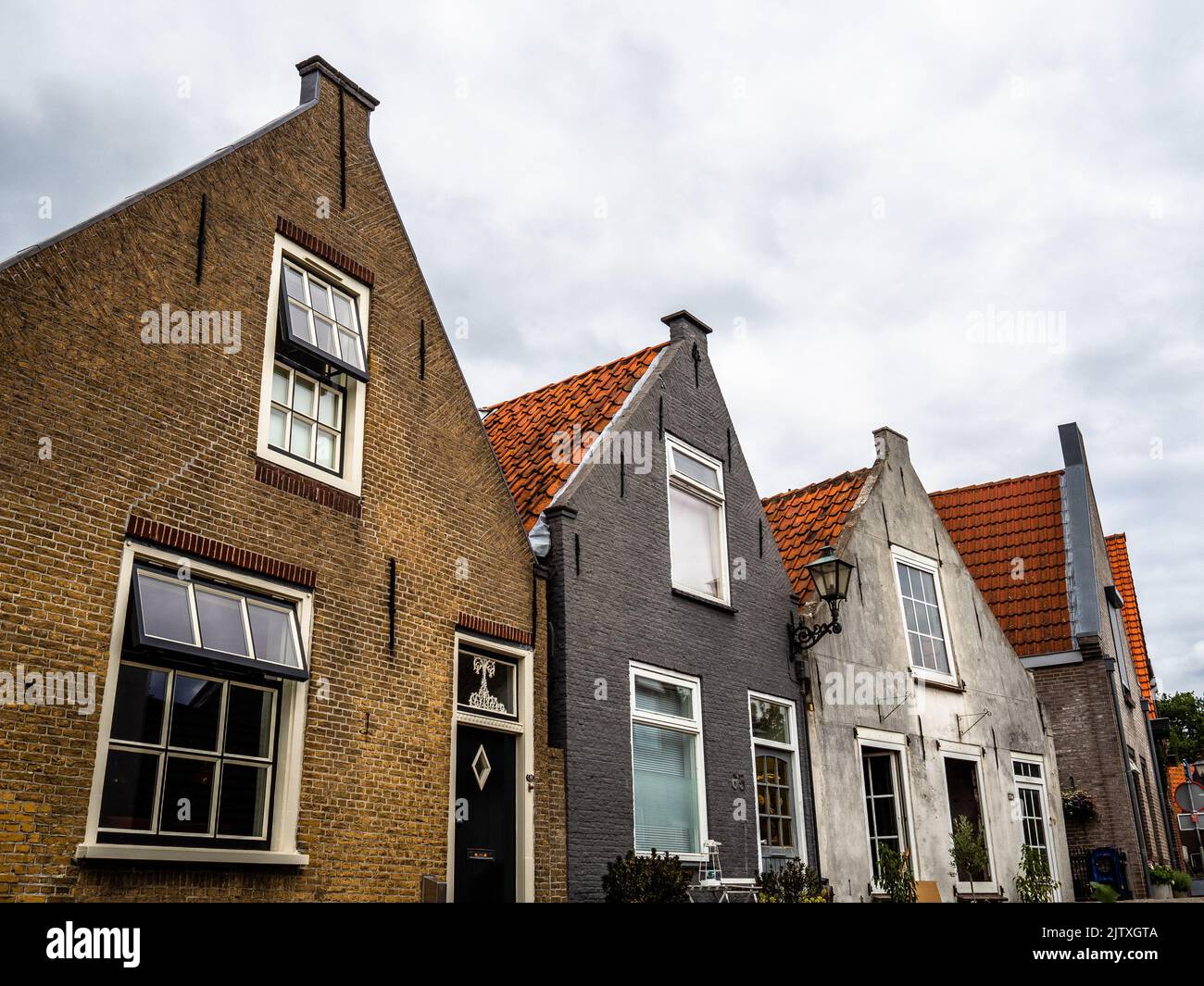 Zwartewaal, Netherlands. 27th Aug, 2022. A view of a group of ...