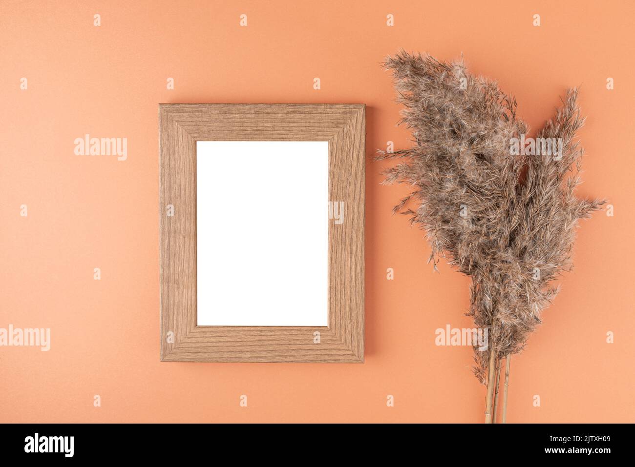 Blank photo frame with dry cane reeds or pampsa grass on orange ...