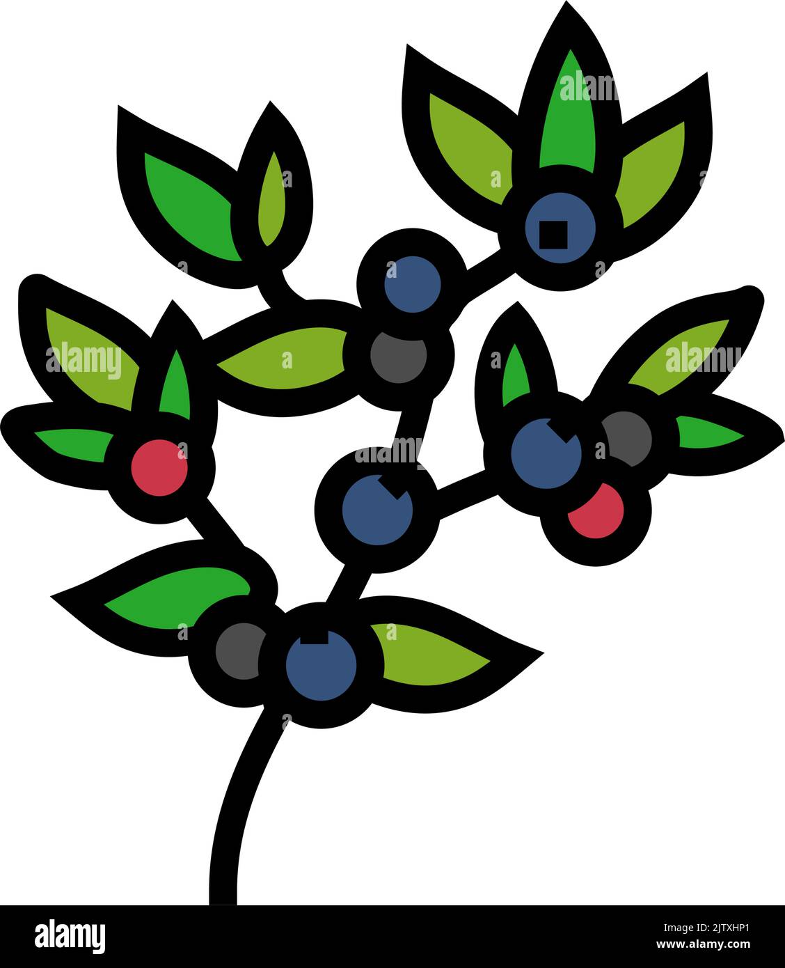 huckleberry bilbery plant color icon vector illustration Stock Vector ...