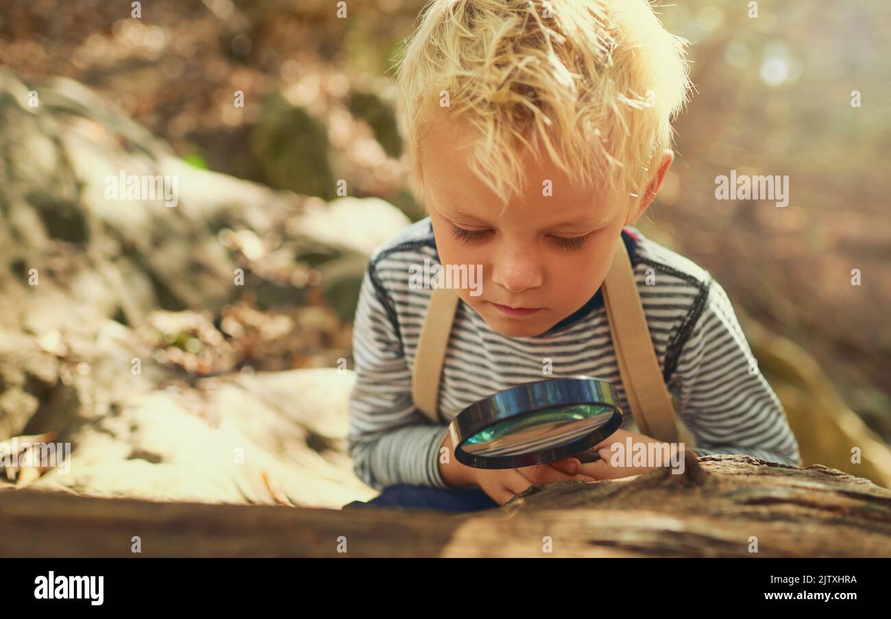 Hes curious about the world. Shot of an inquisitive little boy ...