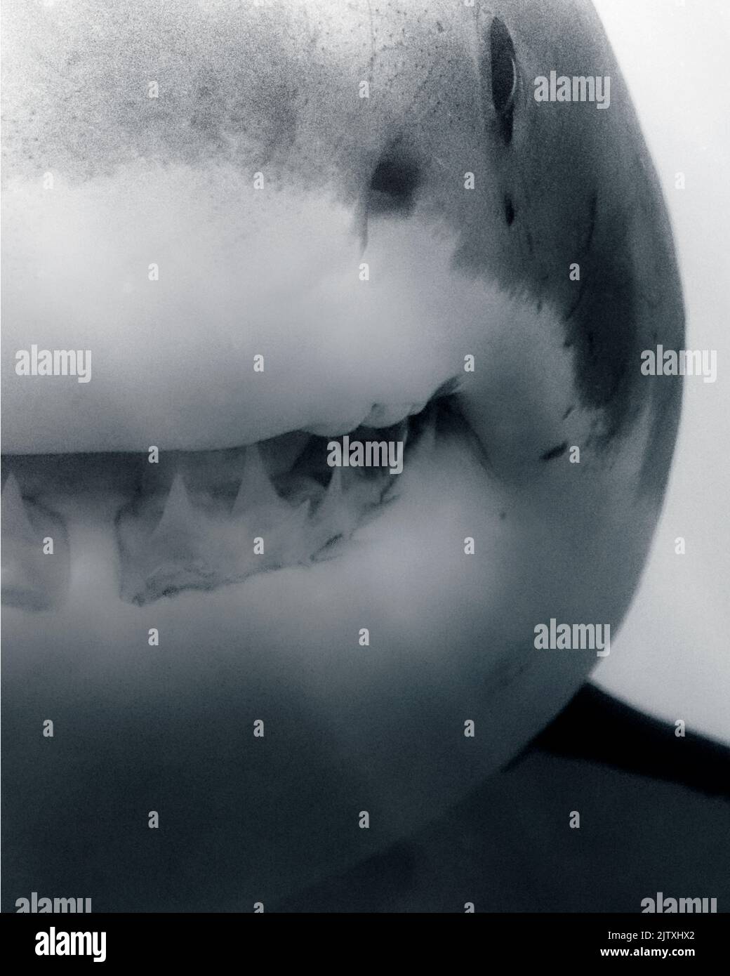 A stunning photo by Mike Coots. Mexico: THESE INCREDIBLE photos were ...