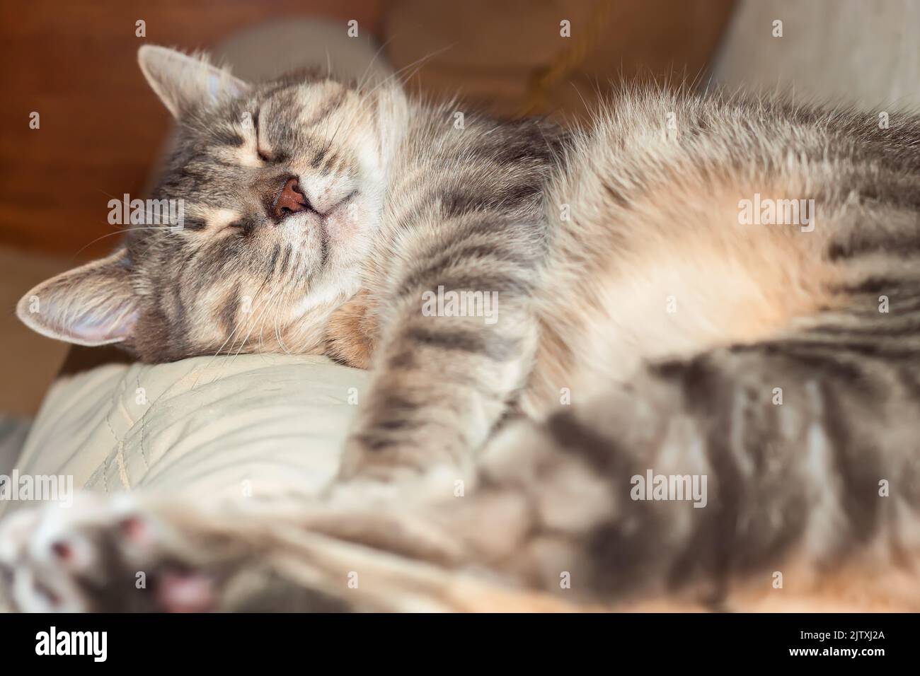 Sick sleeping hi-res stock photography and images - Alamy