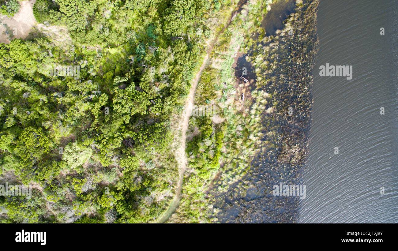 An aerial top view of a body of water and a wetland near the shore ...
