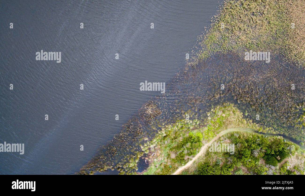 Aerial view wetland park water hi-res stock photography and images - Alamy