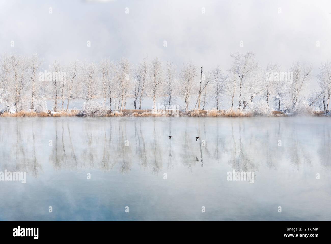 Siberia landscape winter hi-res stock photography and images - Alamy