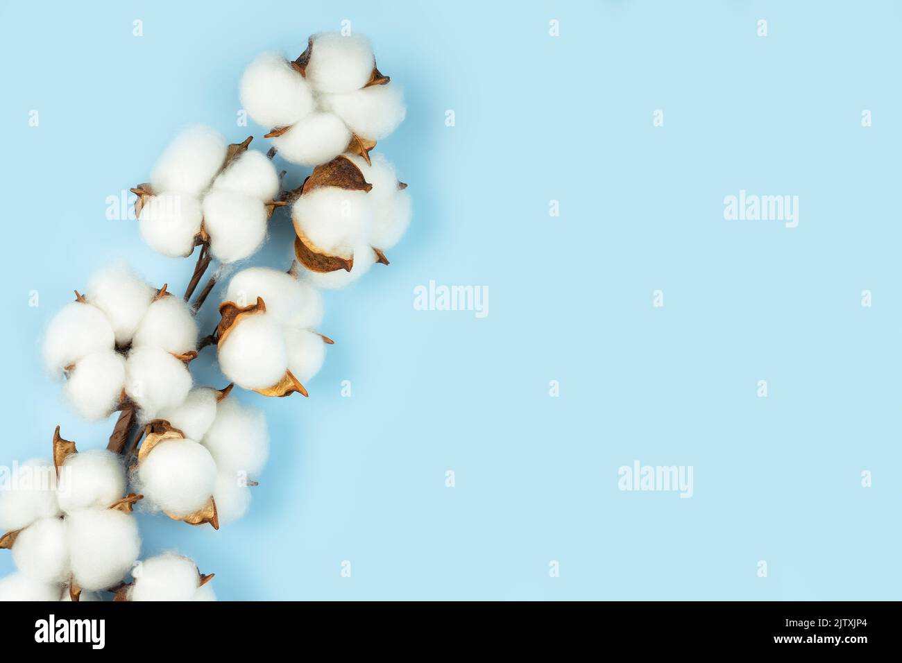 Raw Materials Cotton