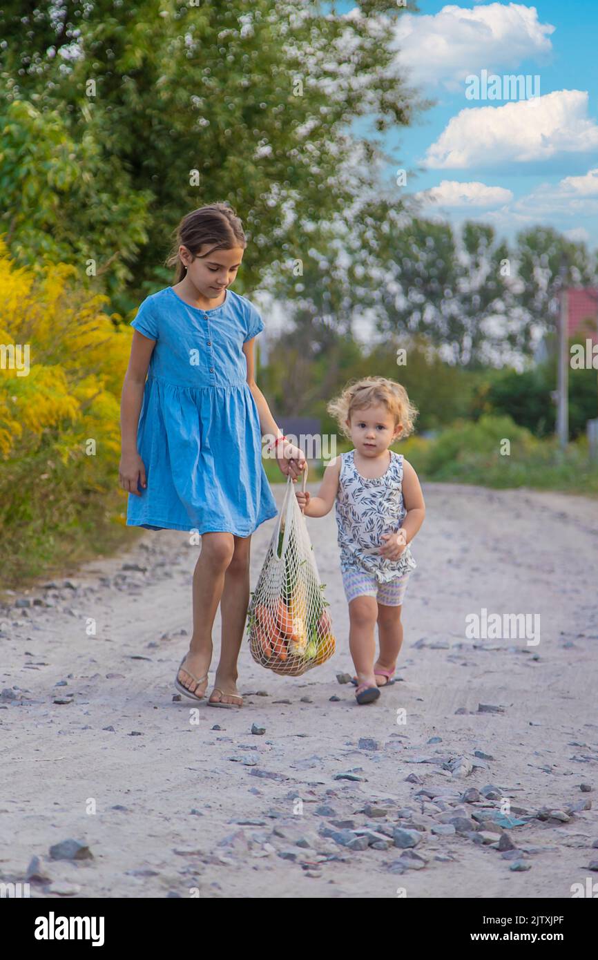 Boy carry grocery bag hi-res stock photography and images - Alamy
