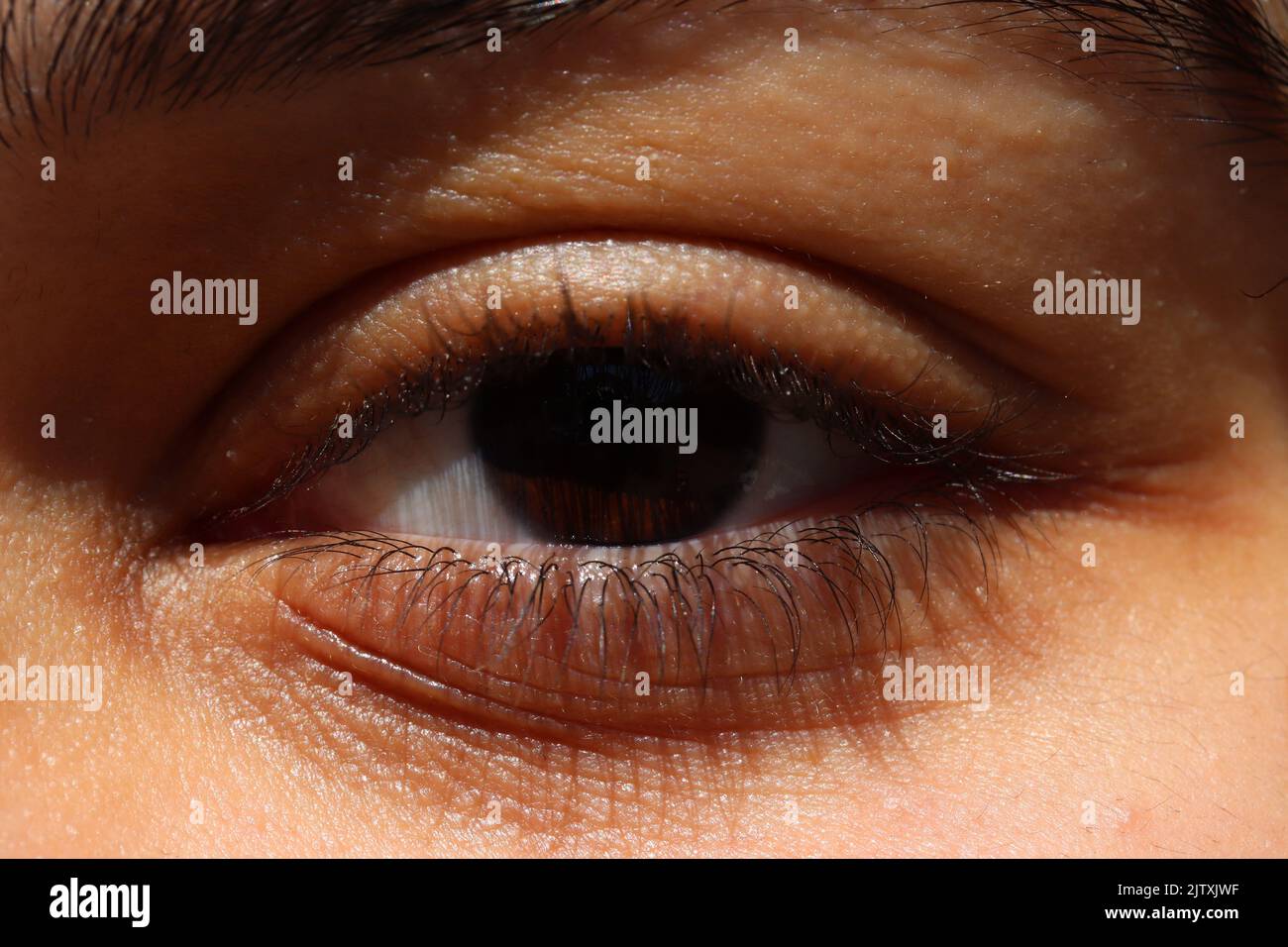 human eye close-up girl child Stock Photo - Alamy