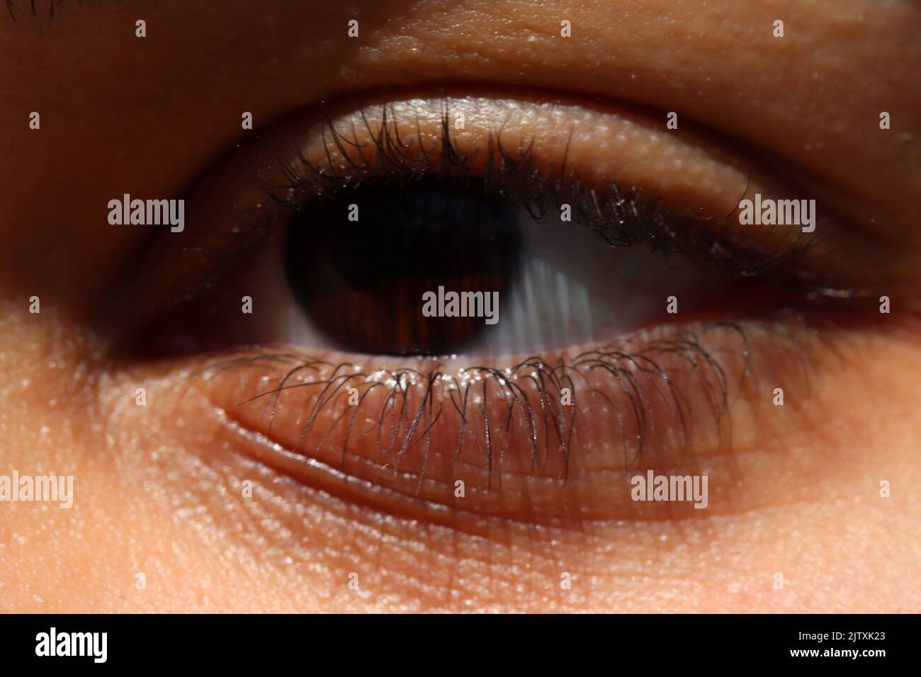 human eye close-up girl child Stock Photo - Alamy