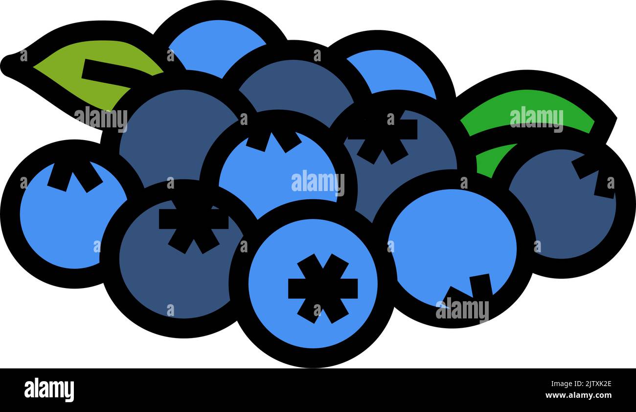 Bunch blueberries leaf color Stock Vector Images - Alamy