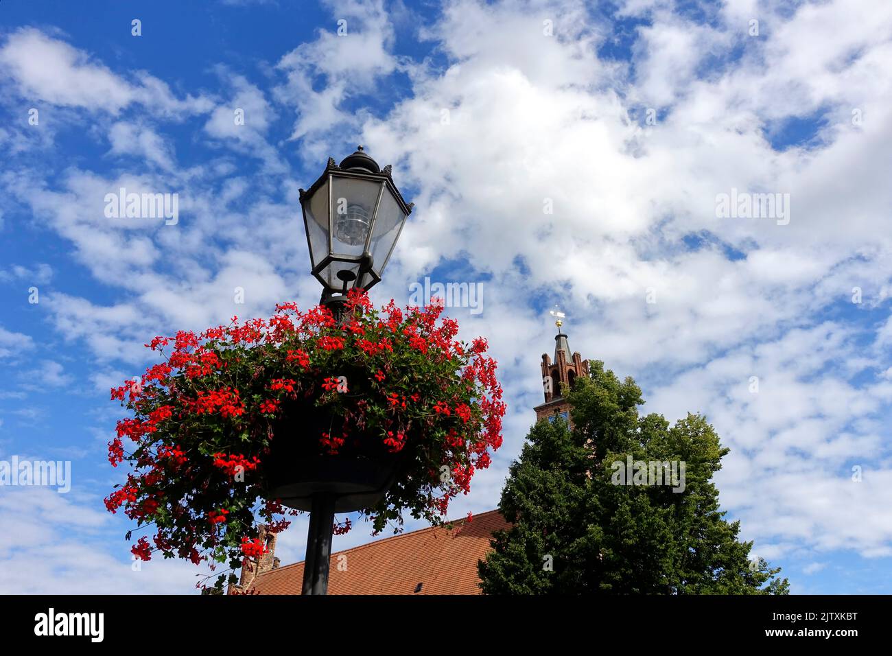 Flowers on the lighting, town hall, Brandenburg an der Havel, Germany ...