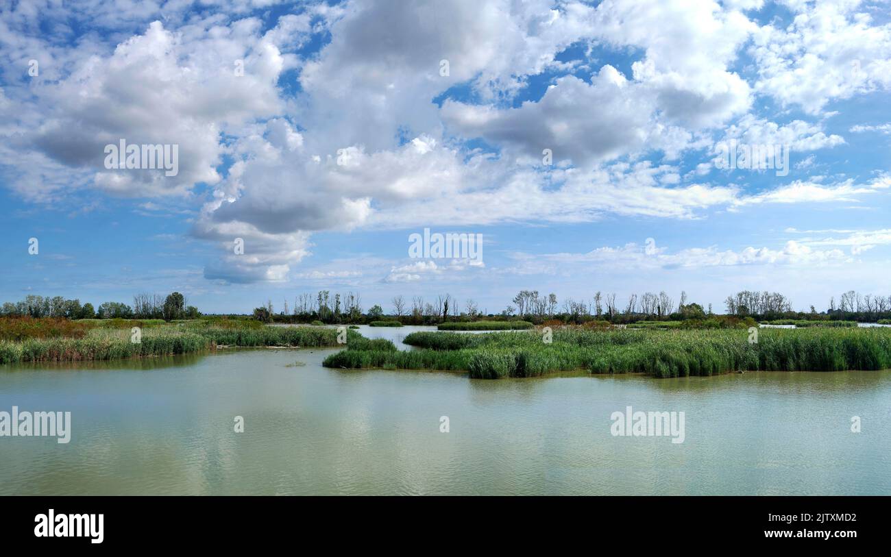 Goro po hi-res stock photography and images - Alamy