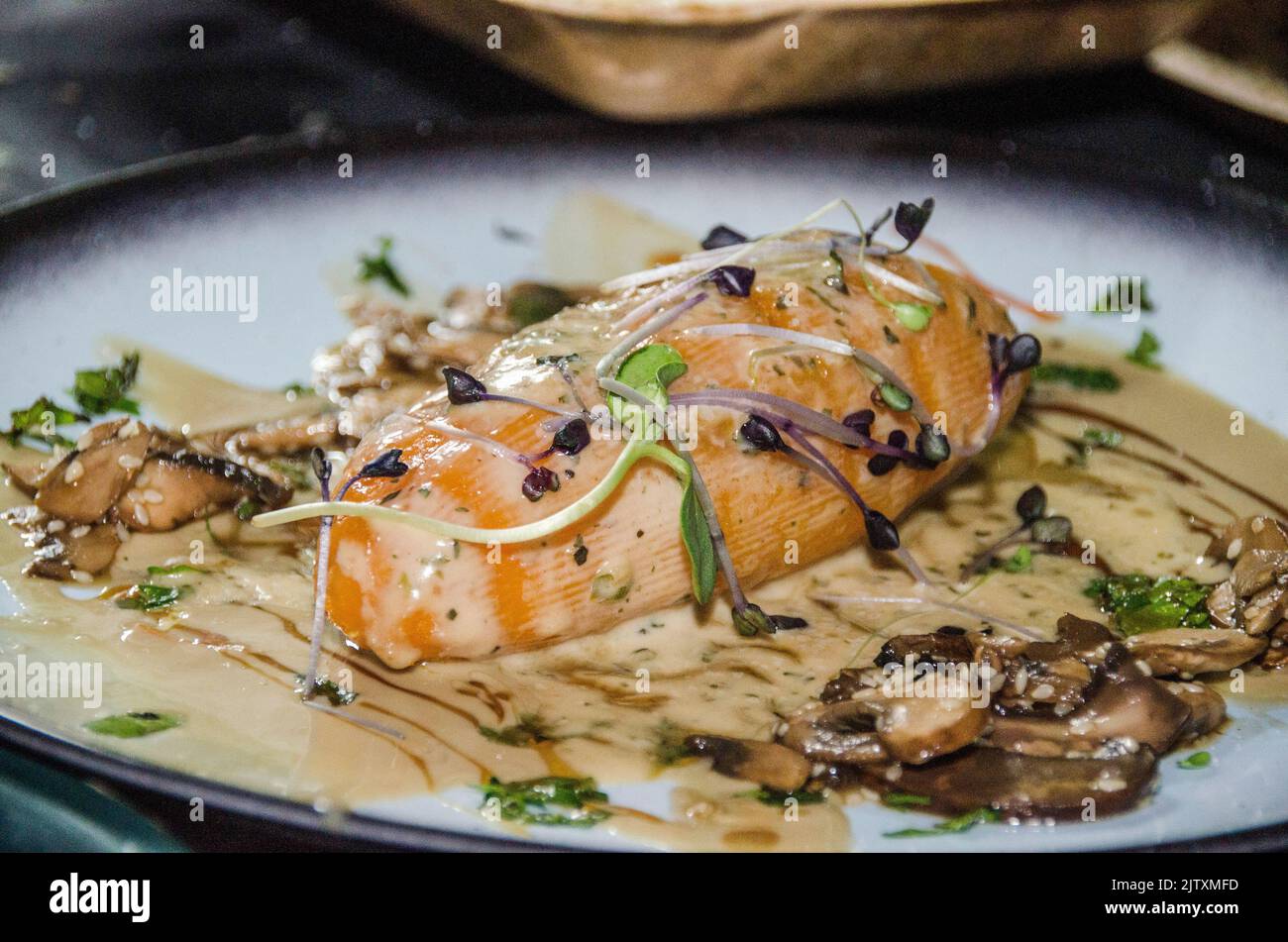 Vegan food plates on display at a formal, festive and fancy, Vegetarian ...