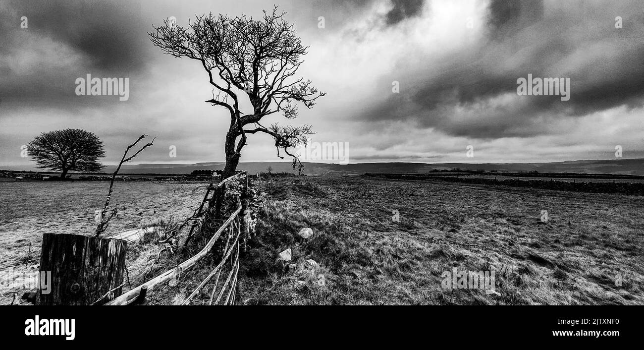 Black white moors hi-res stock photography and images - Alamy