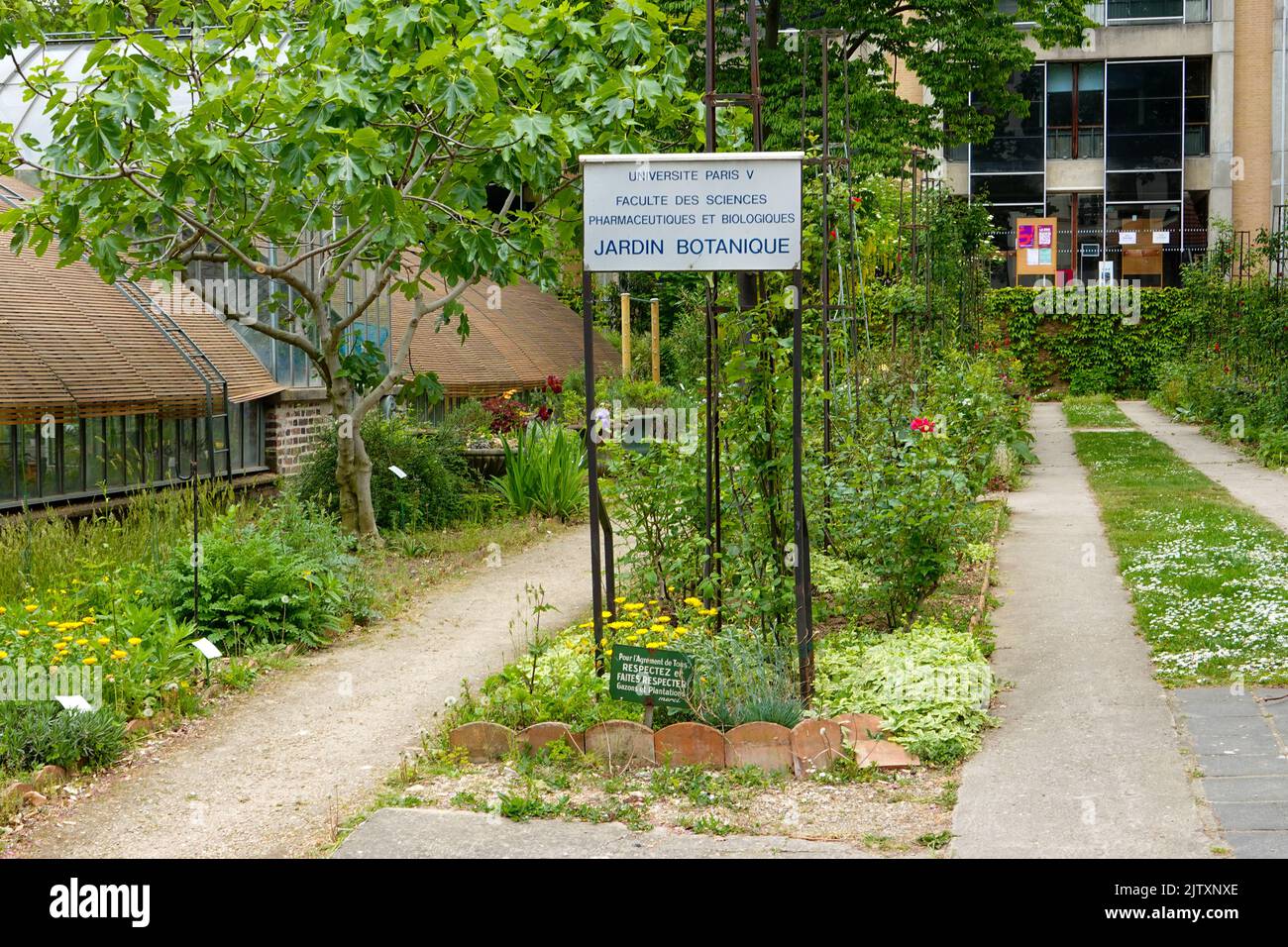 Botanical garden of the pharmaceutical and biological sciences faculty ...