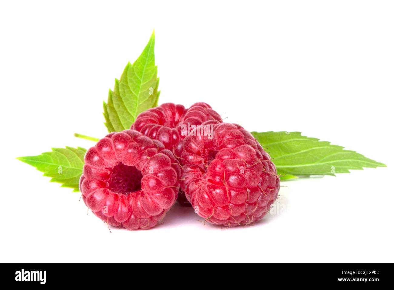Raspberry with leaves isolated on a white background Stock Photo - Alamy