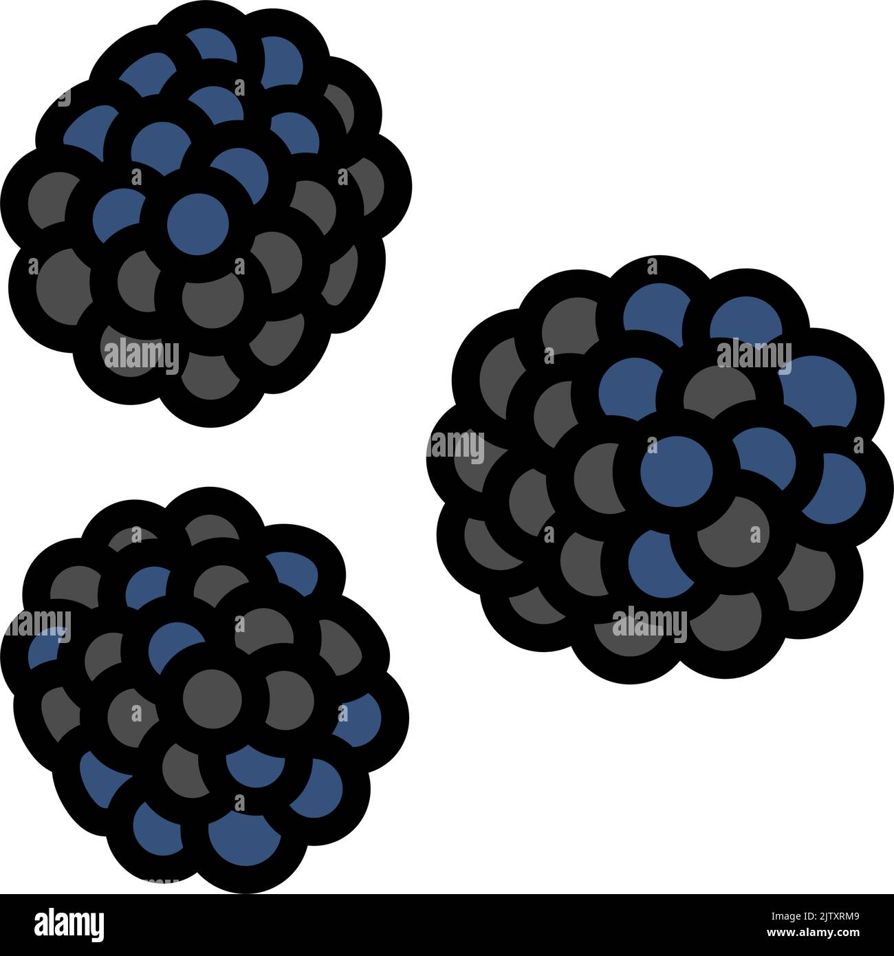 juicy berry blackberry color icon vector illustration Stock Vector ...