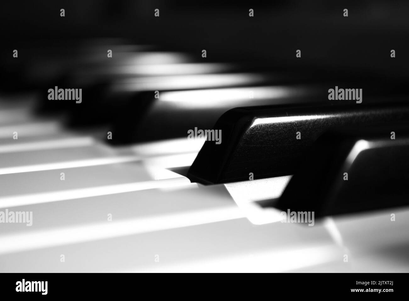 Synthesizer keyboard player performing hi-res stock photography and ...