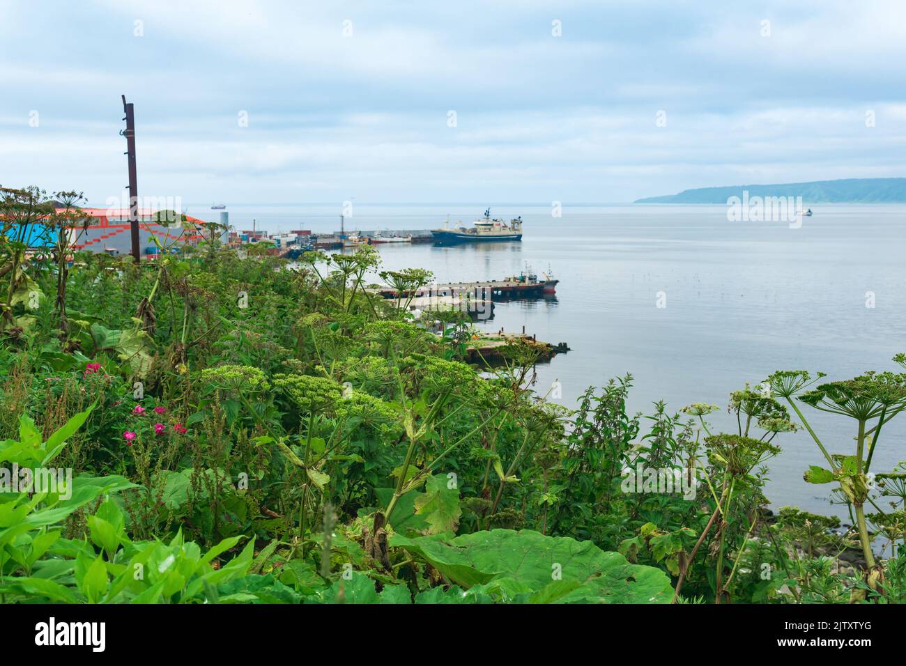 blurred view from a high bank to a small fishing port on the shore of ...