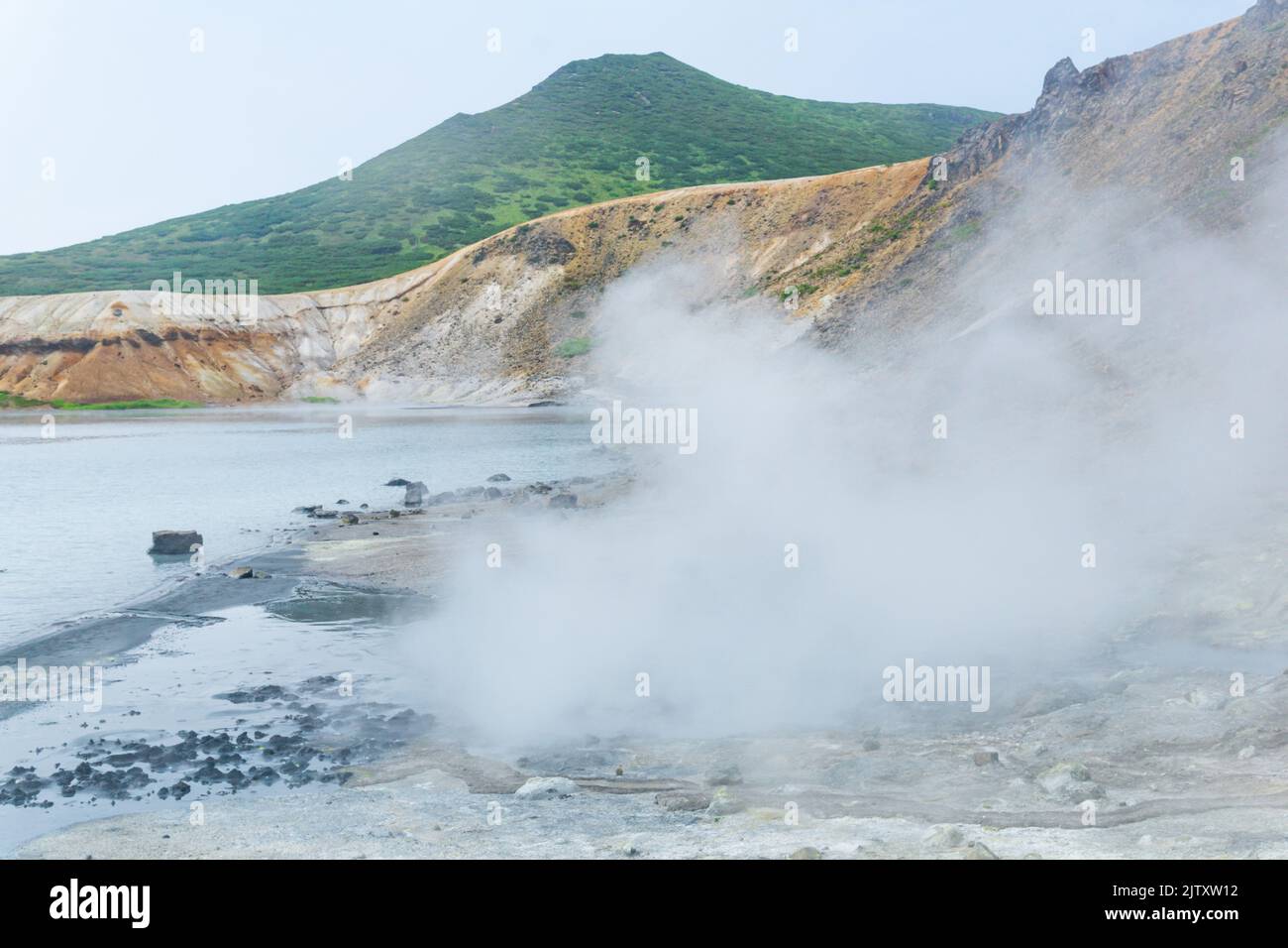 boiling and steaming hydrothermal outlet on the shore of the hot lake ...