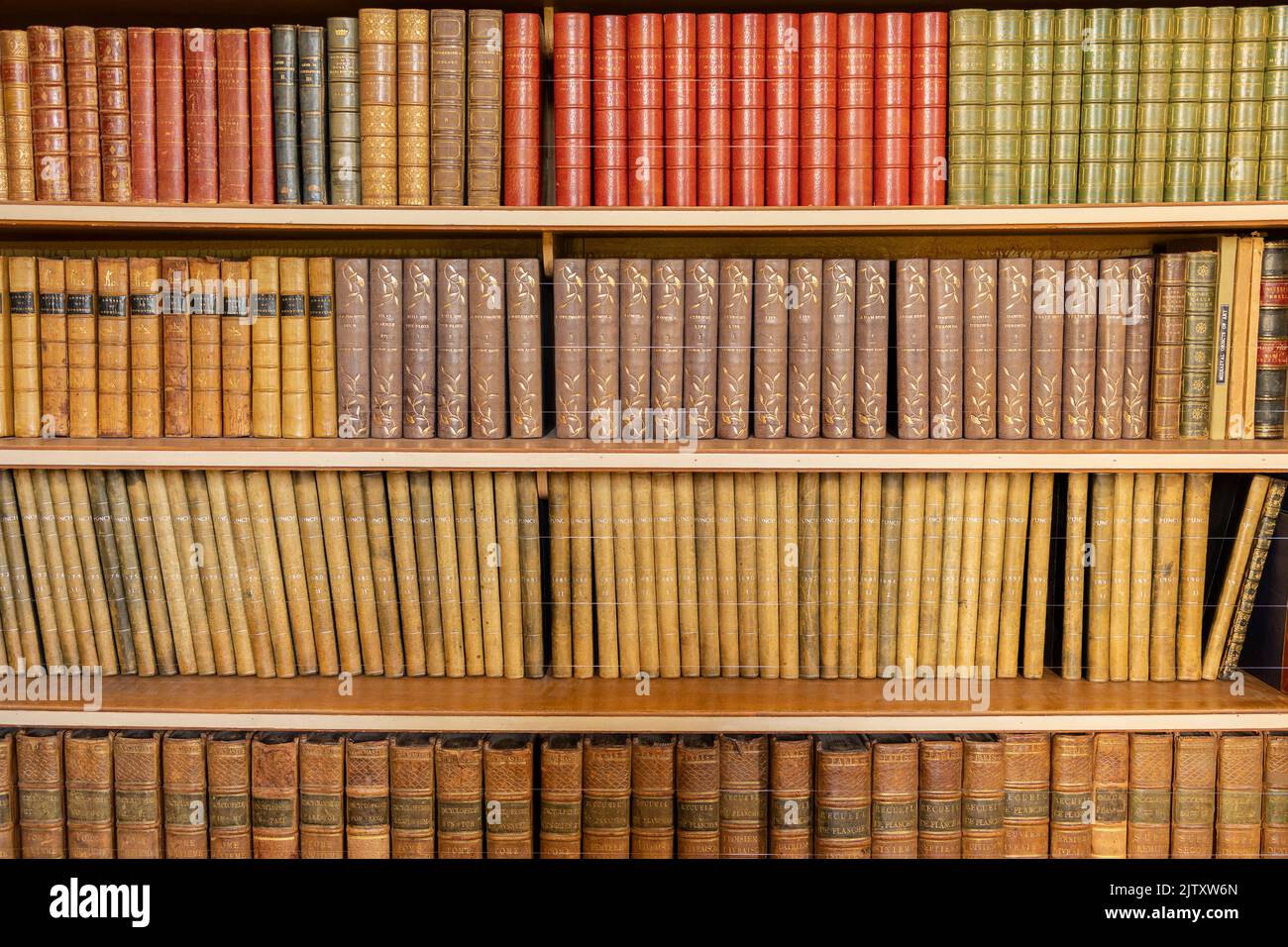 Historic library collections hi-res stock photography and images - Alamy