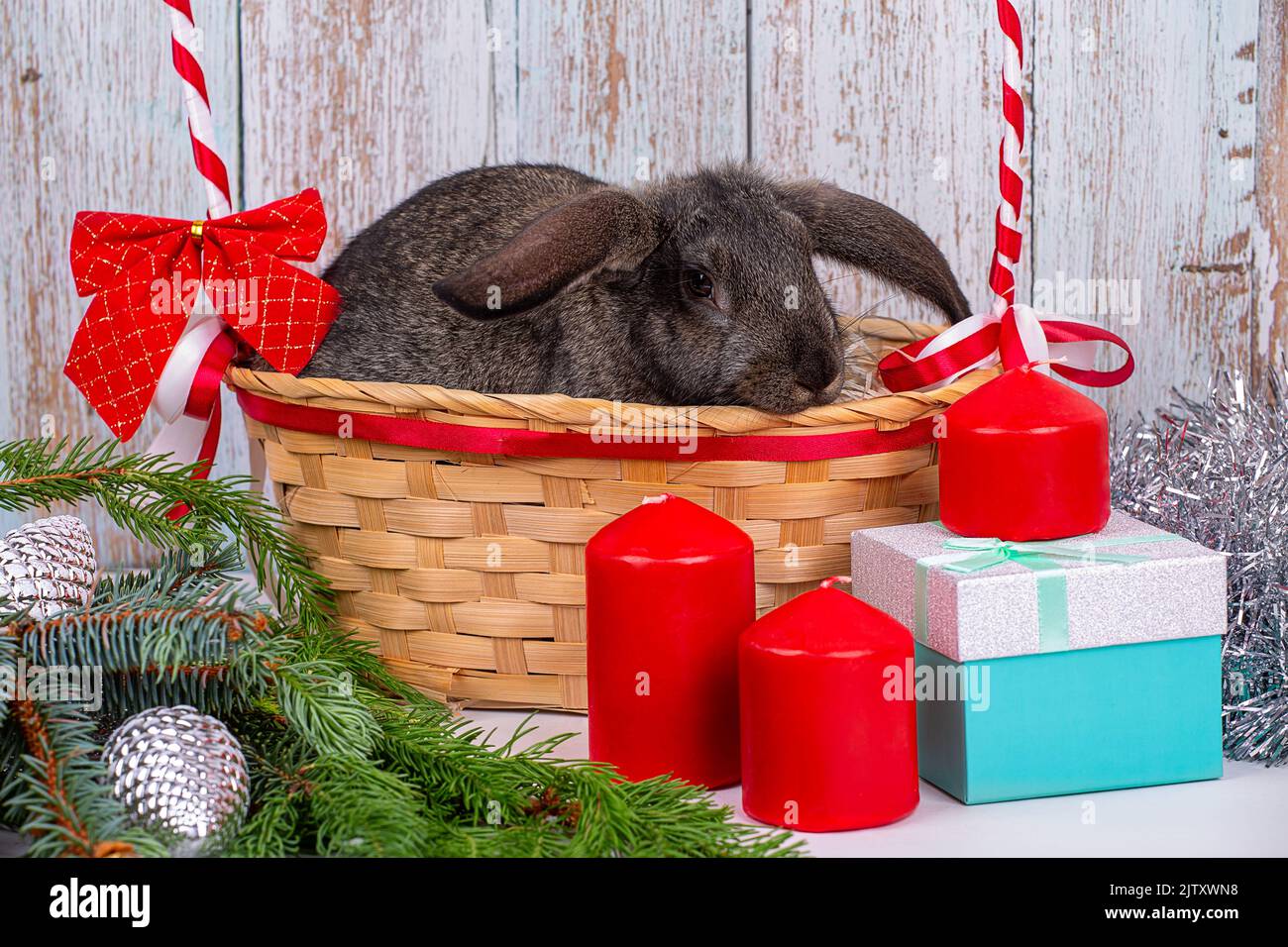 A New Year's rabbit with long ears sits in a basket among the branches ...