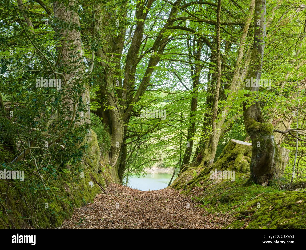 Reservoir bridle path hi-res stock photography and images - Alamy