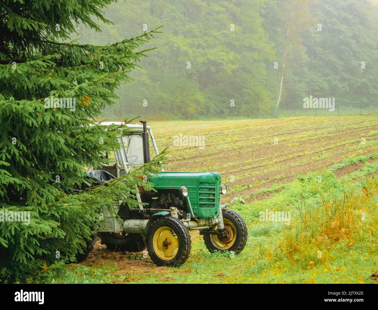 tractor on a misty morning agriculture field Stock Photo - Alamy