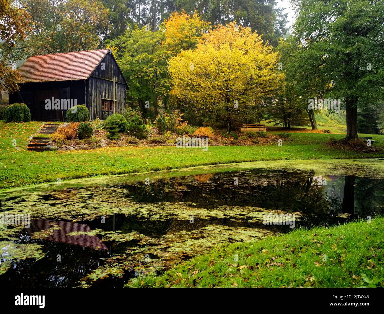 black wooden old hut on a backyard of a countryside farm in autumn ...