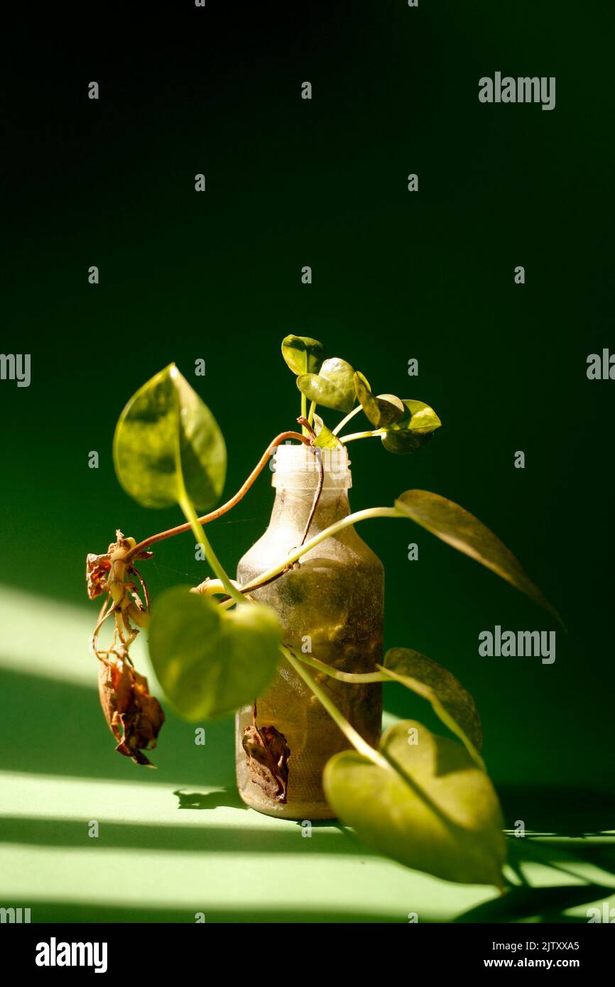 Dirty still life hi-res stock photography and images - Alamy