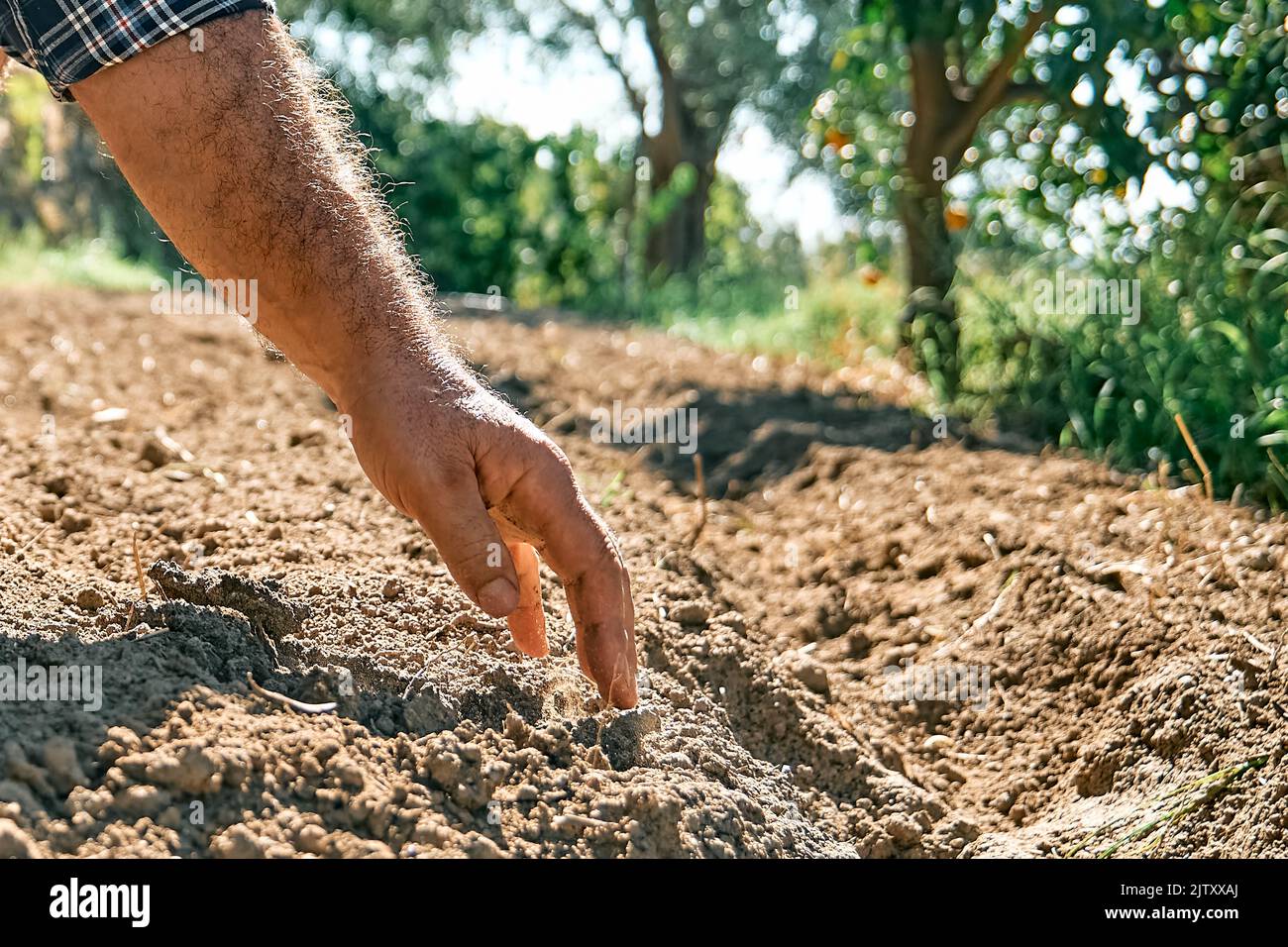 Male hands touching soil on the field. Farmer checking soil health ...