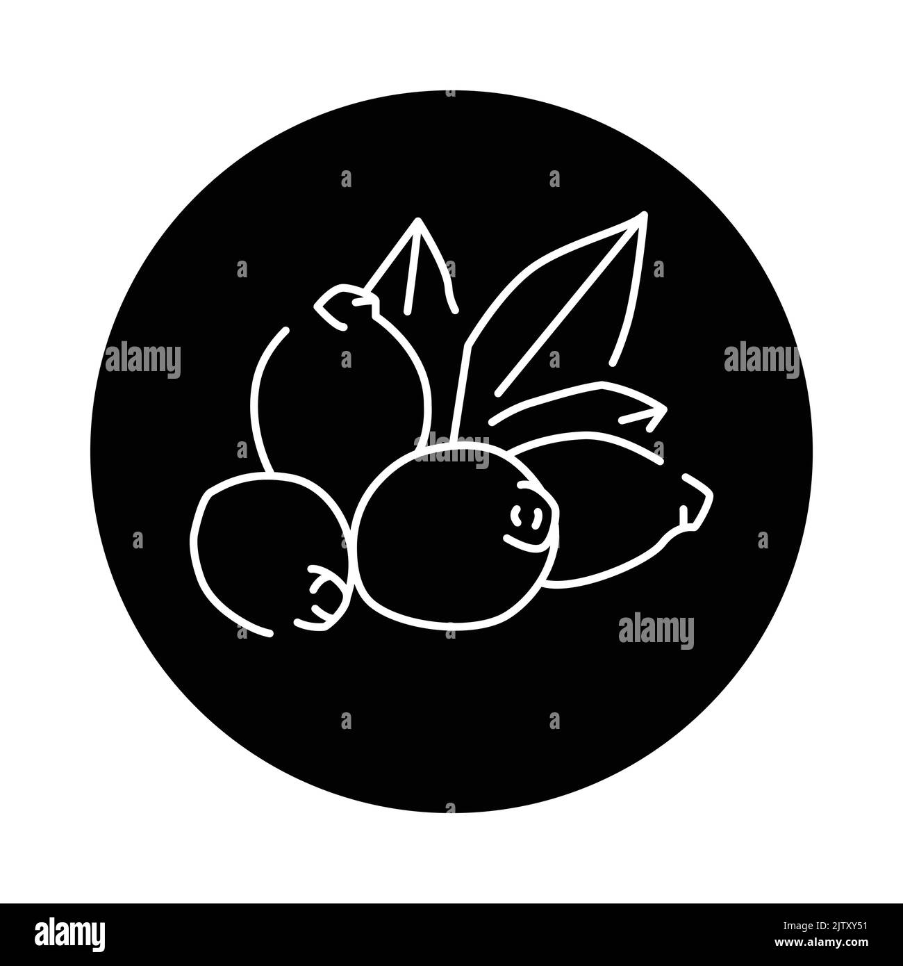 Rose hip plant color line icon. Pictogram for web page, mobile app ...