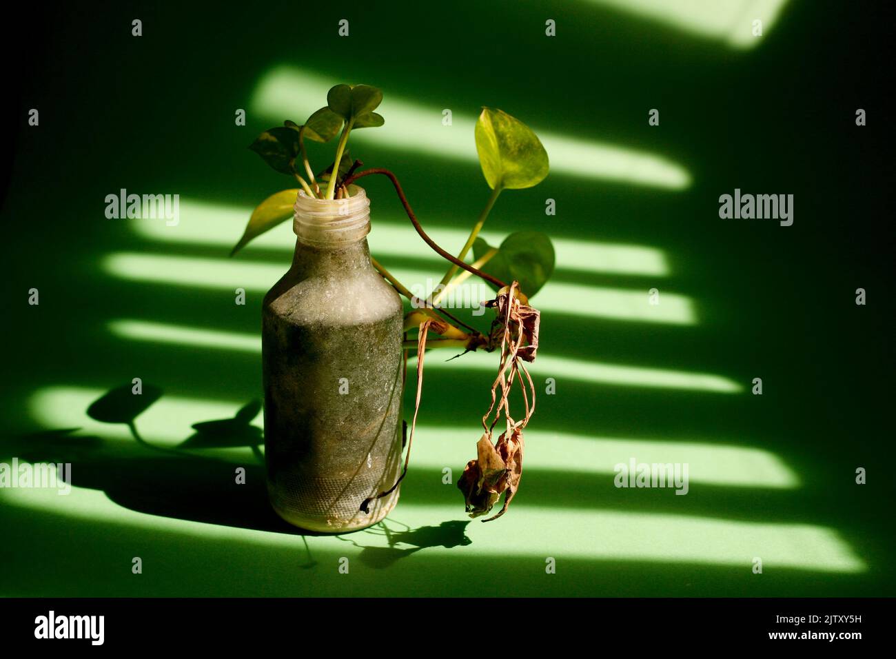 Dirty still life hi-res stock photography and images - Alamy
