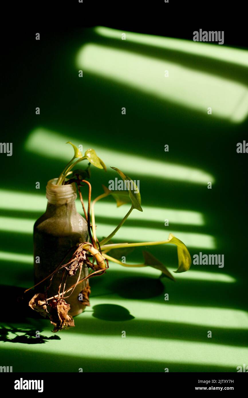 Dirty still life hi-res stock photography and images - Alamy