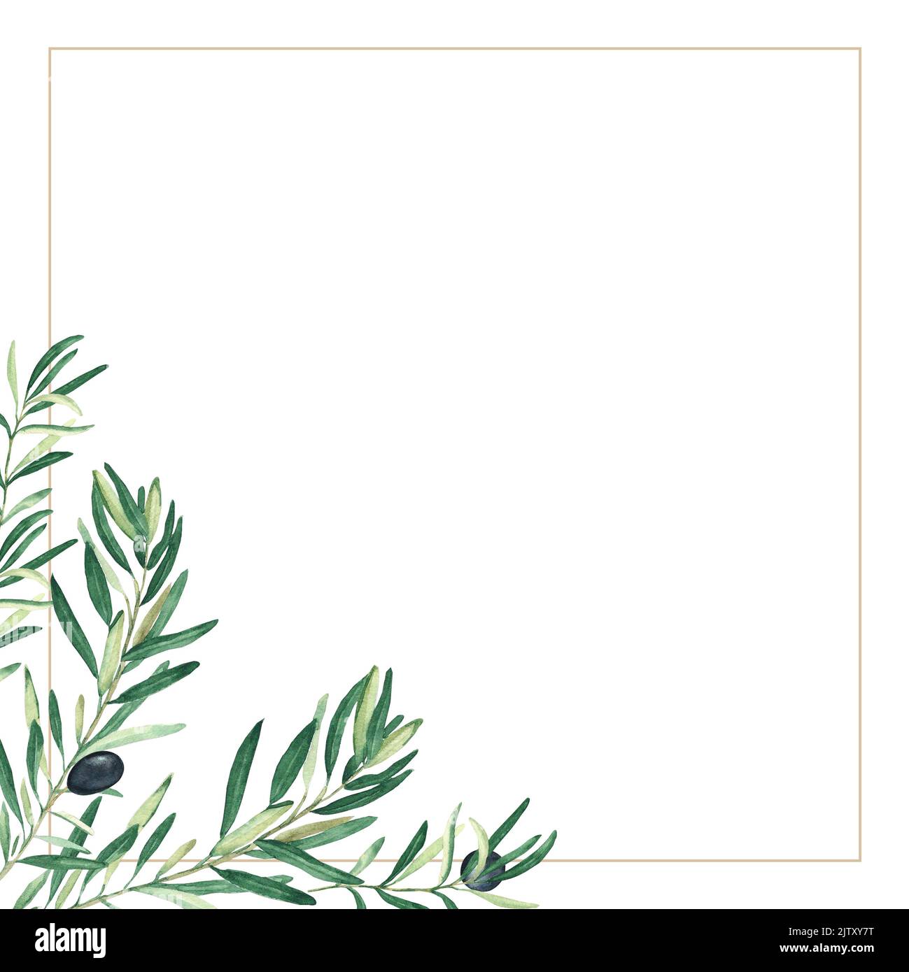 Olive golden frame. Black olive branches. Hand drawn watercolor ...