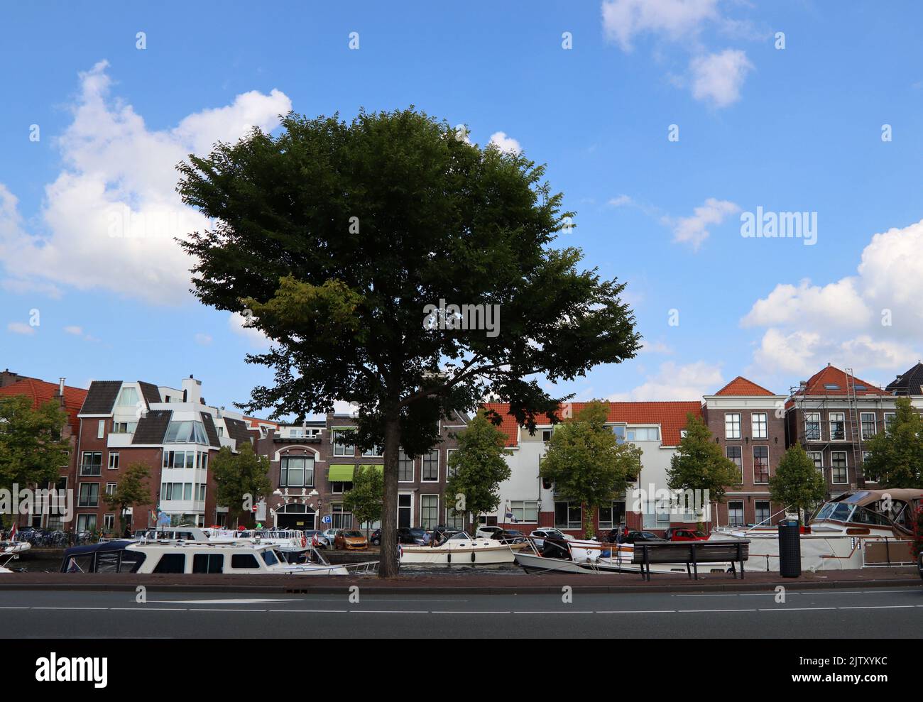Beautiful Dutch city view. Haarlem, the Netherlands. Summer in Europe ...