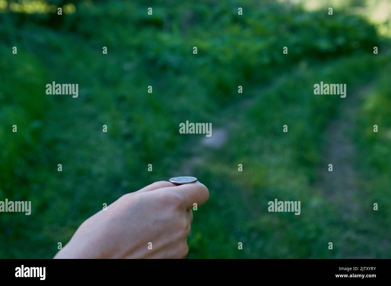 Choice of solution. Tossing a coin at a fork in a forest path Stock ...