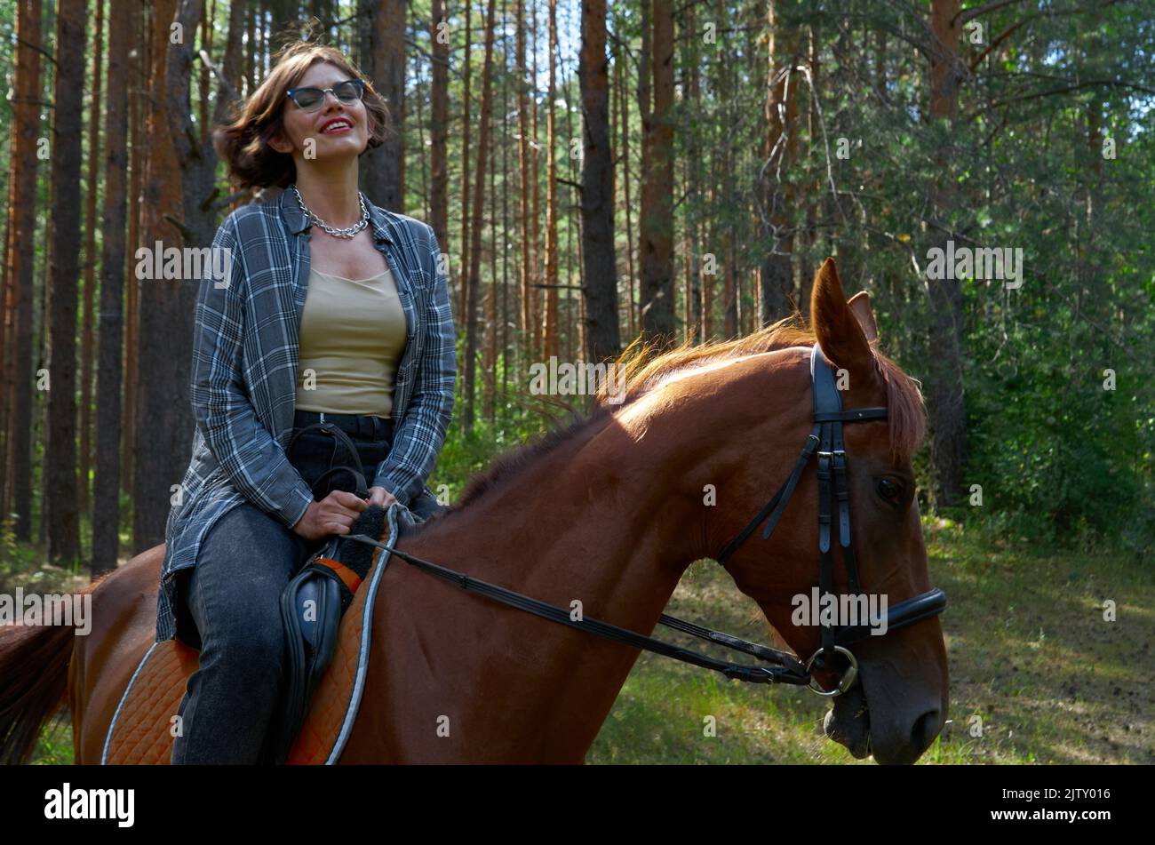 Woman in casual clothes rides a horse in hot summer day Stock Photo - Alamy