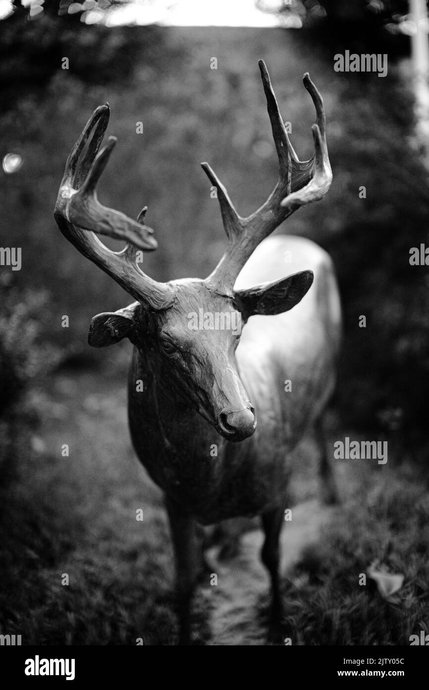 A grayscale shot of the deer's statue Stock Photo - Alamy